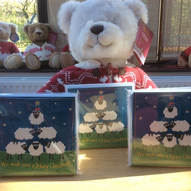 Charity Christmas Cards – Winter Woodland | Shop CRPS Awareness ...