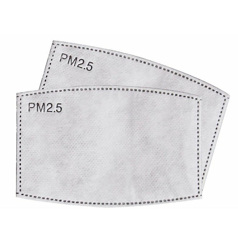 Replacement PM2.5 Filter (Pack of 10) | Shop CRPS Awareness Products ...